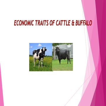 1687417804.3. ECONOMIC TRAITS OF CATTEL AND BUFFALO (1).pptx