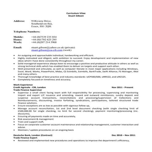 Stuart Gibson - CV | DOC