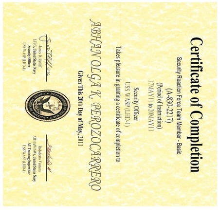 Security Reaction Force Basic | PDF