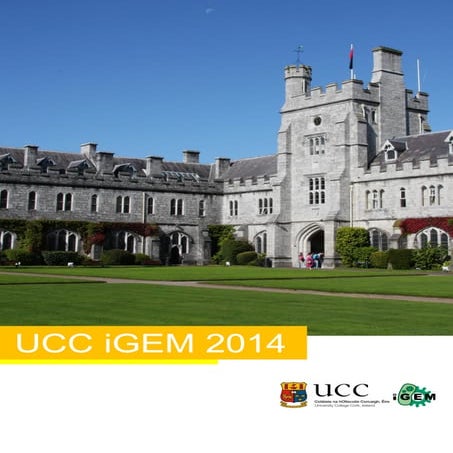 UCC IGEM BROCHURE | PDF