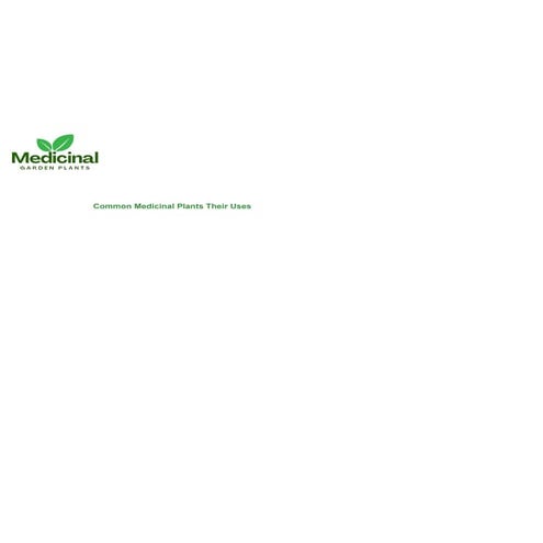 16 Common Medicinal Plants their uses (1).pdf