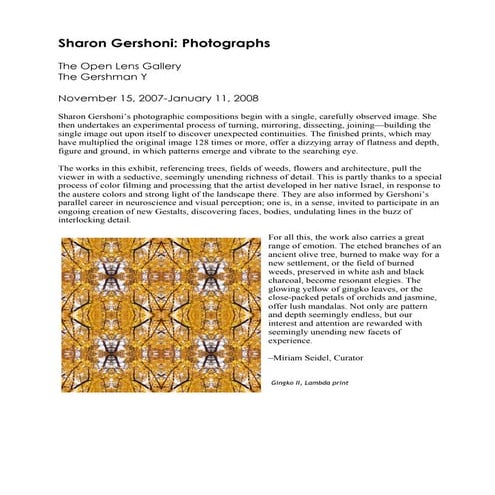 Art-Gershman Y Gallery Handout(2007) | PDF