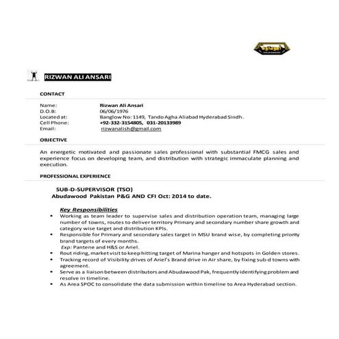 Cv haider ali raza | DOCX