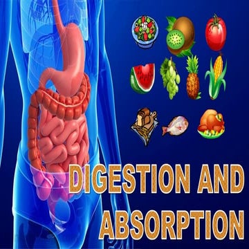 Digestion and absorption ( remedial biology) | PPTX