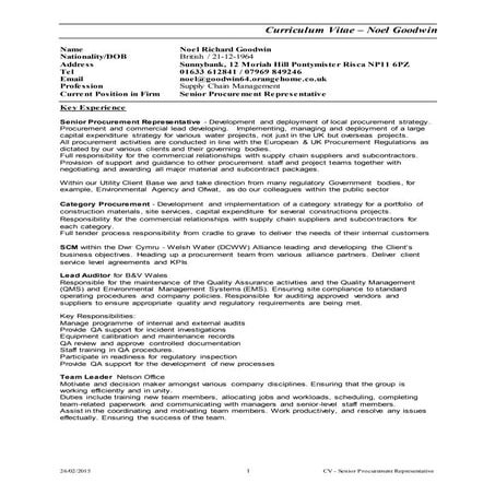 Noel Goodwin CV - Senior Procurement Representative | DOCX | Business ...