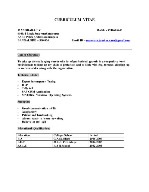 Work Experience | PDF