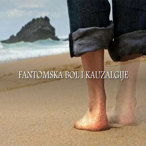 fantomska bol | PPTX