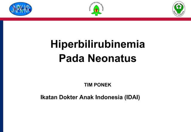 Ppt hiperbilirubin | PPTX
