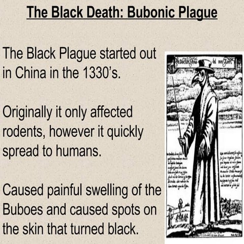 Bubonic Plague Black Death