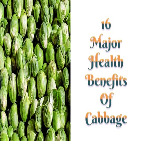 16 major health benefits of cabbage | PDF