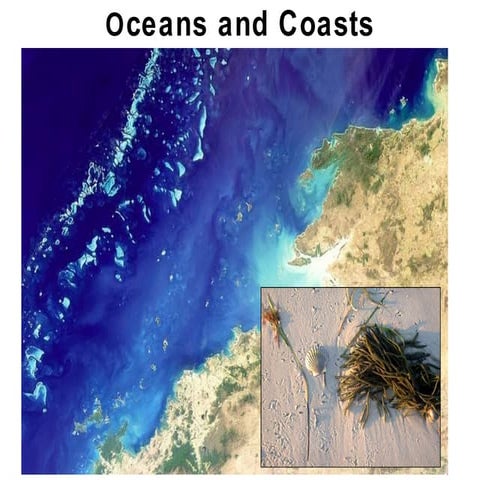 16 oceans coasts_forstudents | PPT