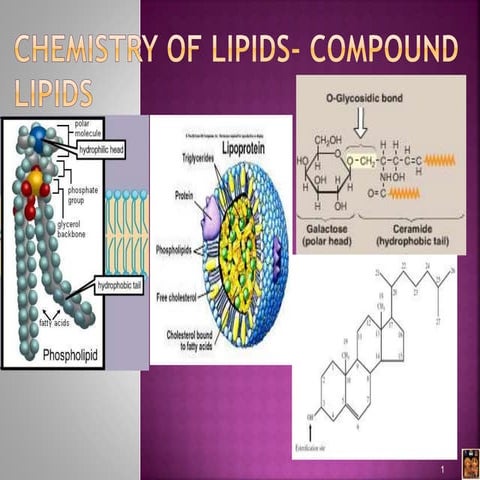 16 October 2023 Chemistry of Lipids- Lecture 3.pptx