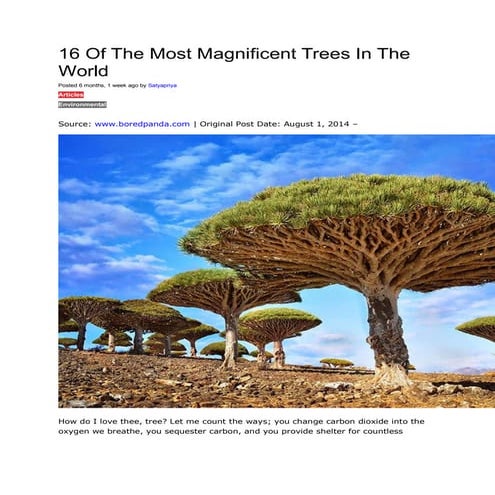 16 of the most magnificent trees in the world | PDF