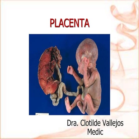 Placenta Anatomía y Fisiología | PPT