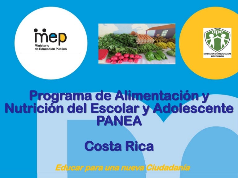 Programa de Alimentación y Nutrición del Escolar y Adolescente (PANEA…