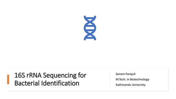 Bacterial Identification by 16s rRNA Sequencing.ppt