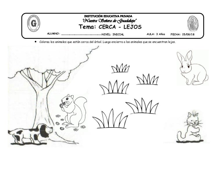 16 tema cerca lejos