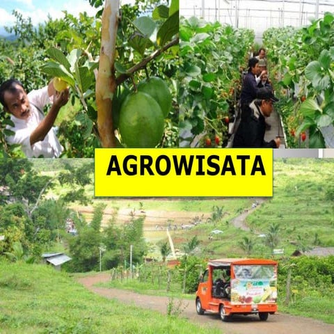 Agrowisata.pptx