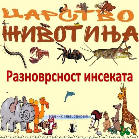 Zglavkari -Raznovrsnost insekata | PPT