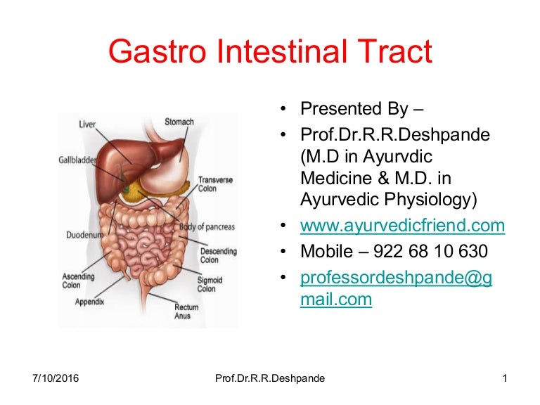 Gastro Intestinal Tract