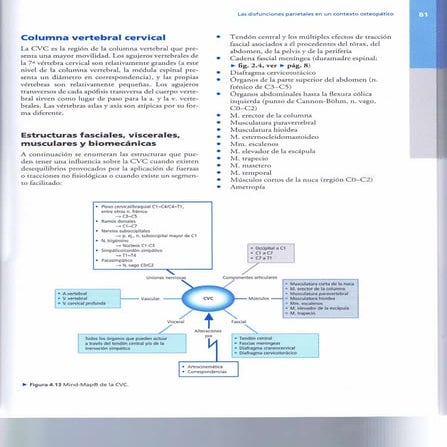 17. columna vertebral cervical | PDF