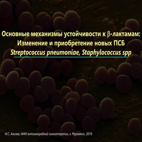 Staphylococcus spp., Enterococcus spp., Streptococcus pneumoniae ...