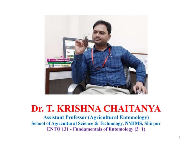 sense organs in insects | PPTX