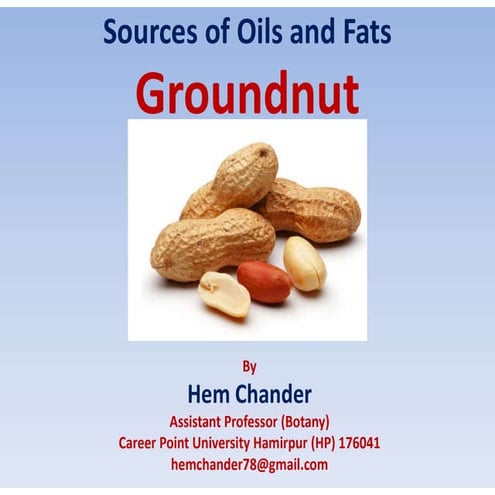17. Groundnut.pdf