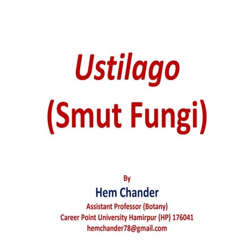 17. Ustilago.pdf