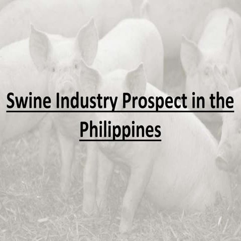 17. swine-industry-prospect_cabantac.pptx
