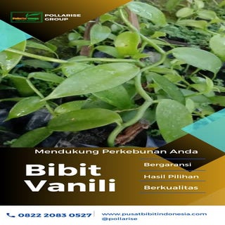 0822.2083.0527 (Tsel) Pusat Hortikultura Bibit Vanili Tahiti | PDF
