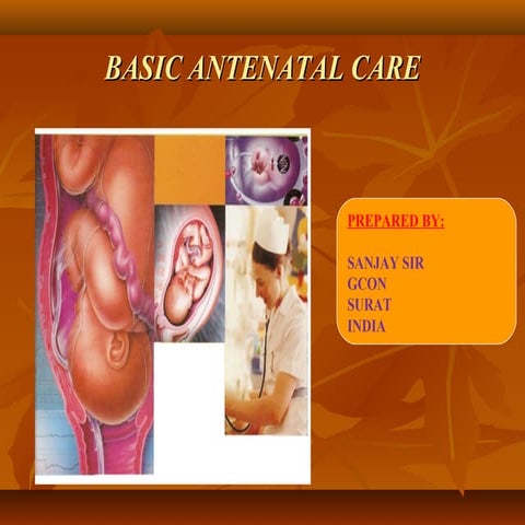 Basic Antenatal Care | PPT