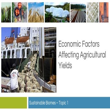17 - Economic Factors that affect Agricultural Yields LIPA | PPTX