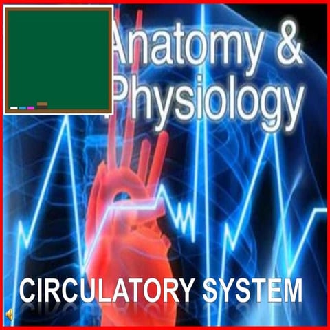 170-Anatomy-Circulatory-System.ppt