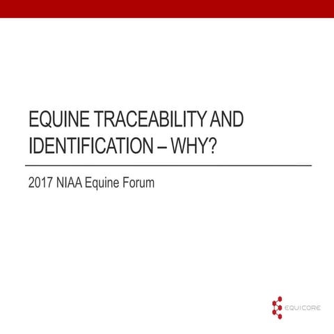 Equines(Horses) markings and identification | PPTX