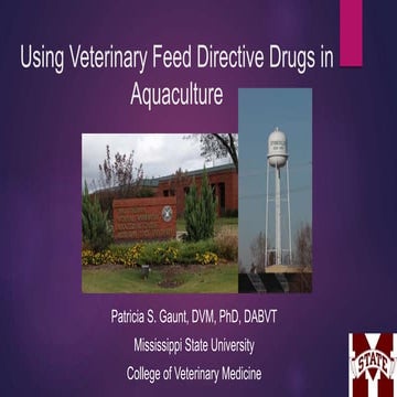 Dr. Patricia S. Gaunt - Discussion on the Veterinary Feed Directive ...
