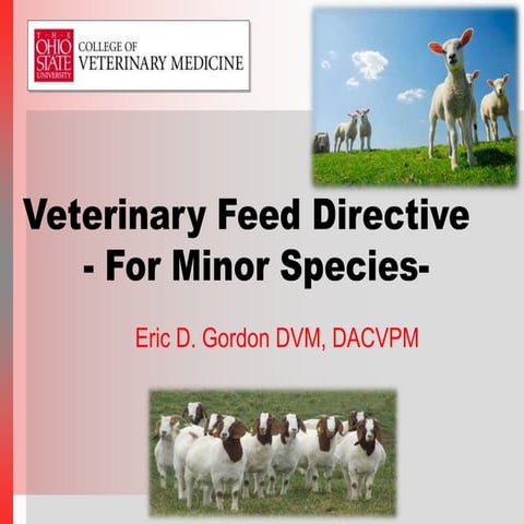 Dr. Eric Gordon - Discussion on the Veterinary Feed Directive ...
