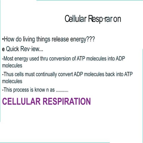 Cellular Respiration Quick Presentationn | PPT
