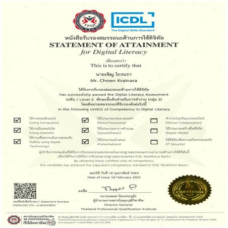 Statement of Attainment for Digital Literacy | PDF