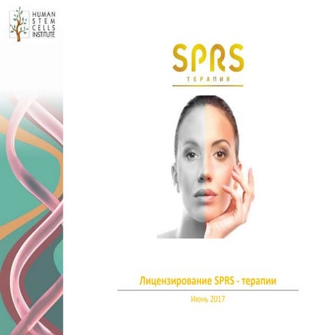 SPRS лицензия | PPT