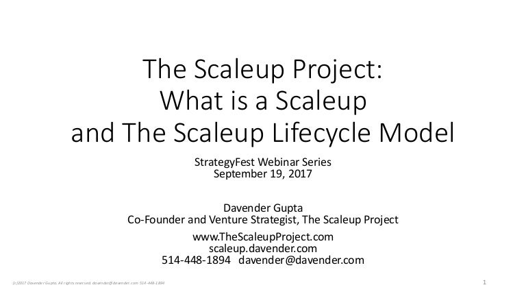 StrategyFest - What is a Scaleup and the Scaleup Lifecycle Model