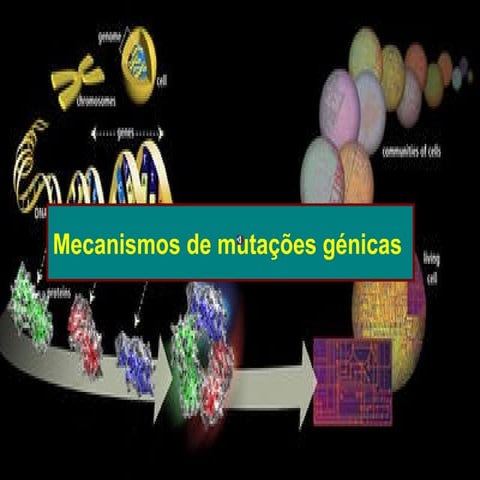 Agentes Mutagênico | PPTX