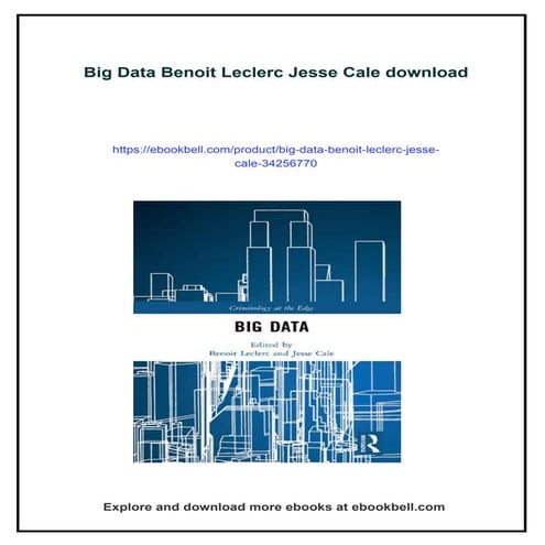 Download full ebook of Big Data Benoit Leclerc Jesse Cale instant ...