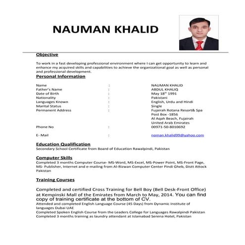 Updated CV-Nauman | PDF