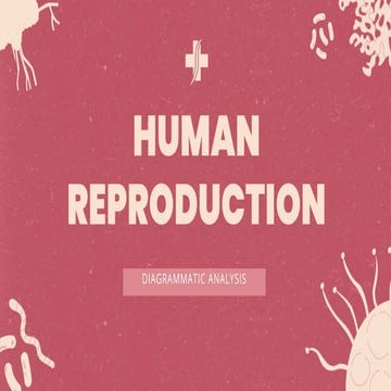 1718298449822_HUMAN REPRODUCTION (2).pptx