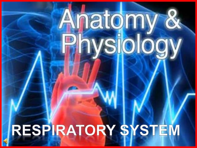 comparative anatomy of respiratory system of Reptiles, Birds and ...