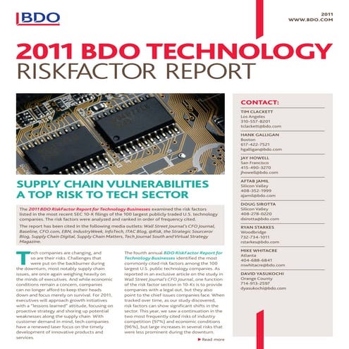BDO Risk Factor Report | PDF