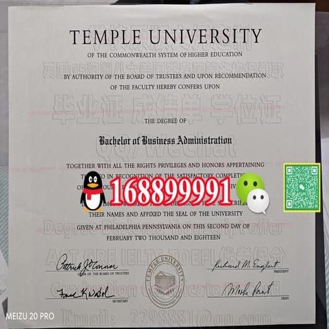Temple University degree offer diploma Transcript | PDF