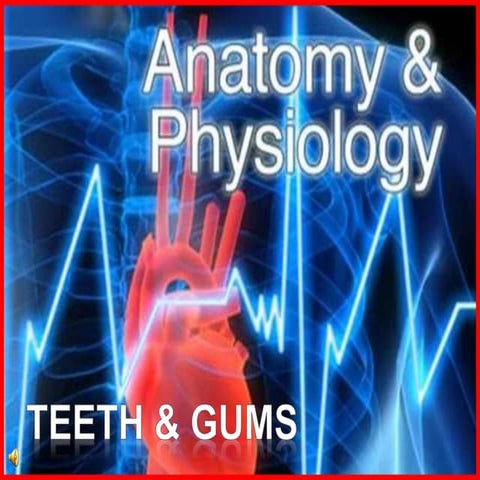174-Anatomy-Teeth-and-Gums.ppt