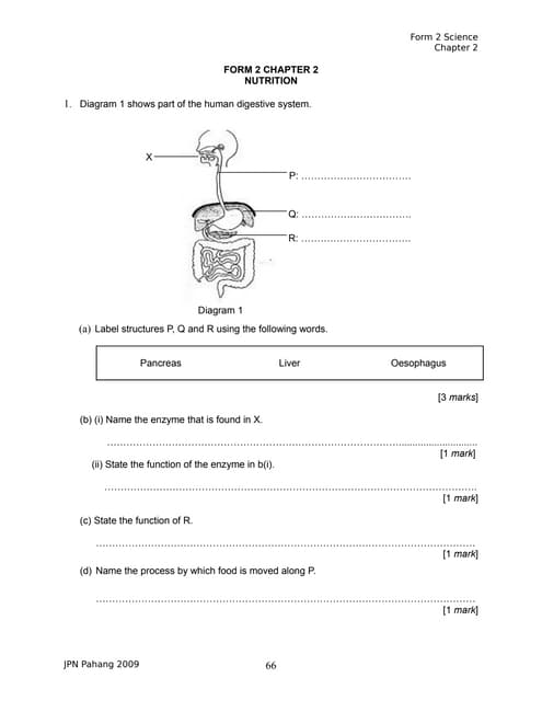 Science Form 2 Chapter 11:Stars and galaxies in the universe | PPTX ...